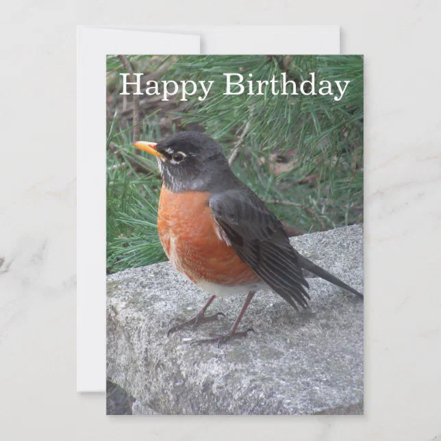 Pretty Robin Photo Birthday Flat Card | Zazzle