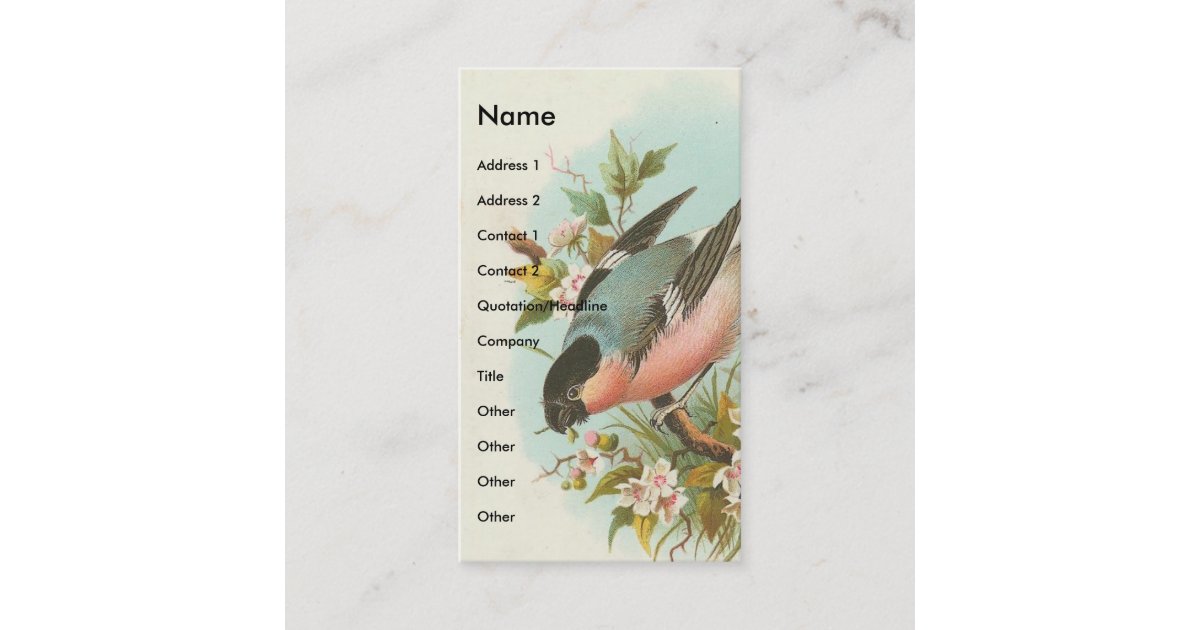 Pretty Vintage Bird Business Card | Zazzle