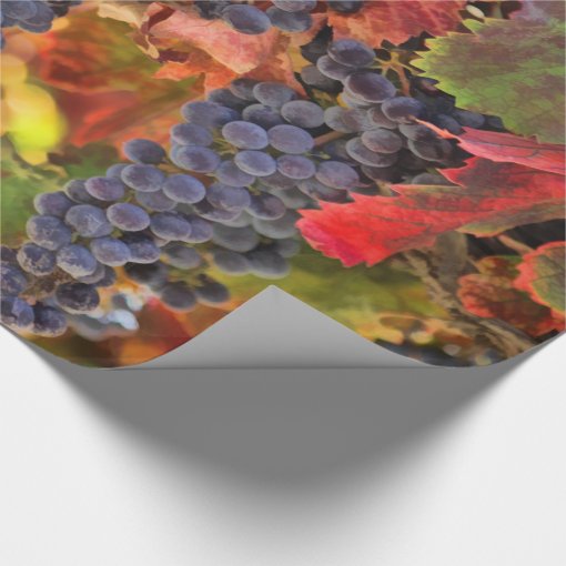Pretty Wine Grape Vineyard Wrapping Paper | Zazzle