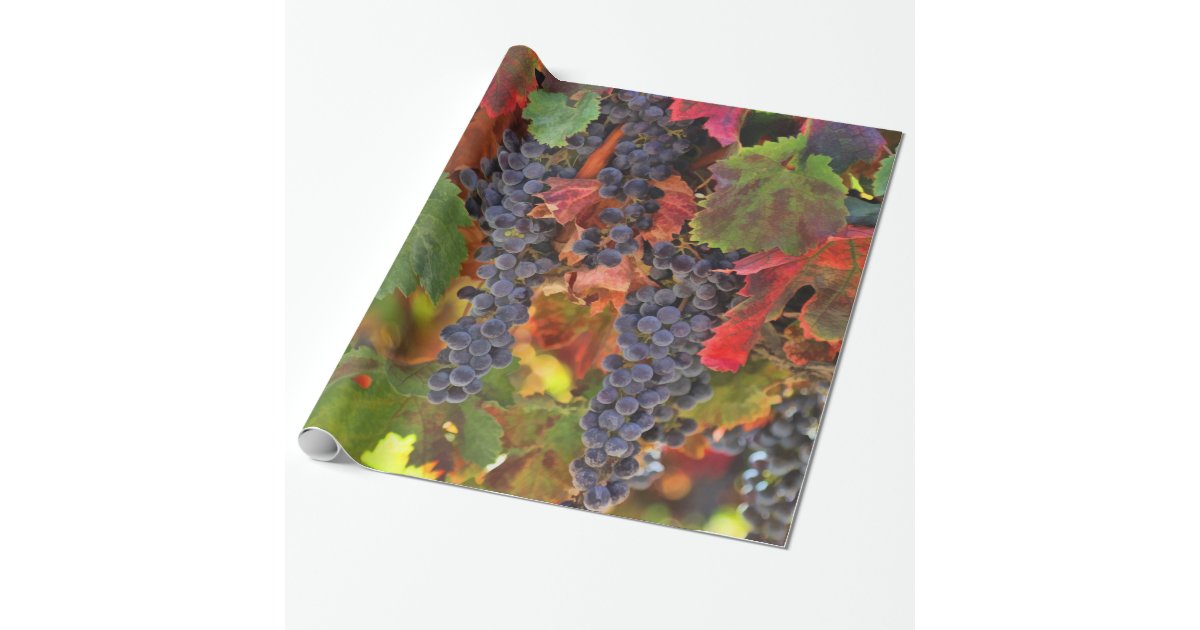 Pretty Wine Grape Vineyard Wrapping Paper | Zazzle