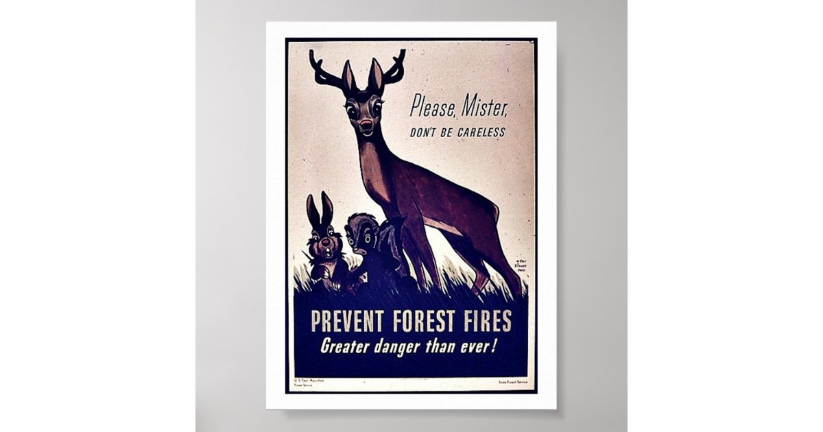Prevent Forest Fires Poster | Zazzle
