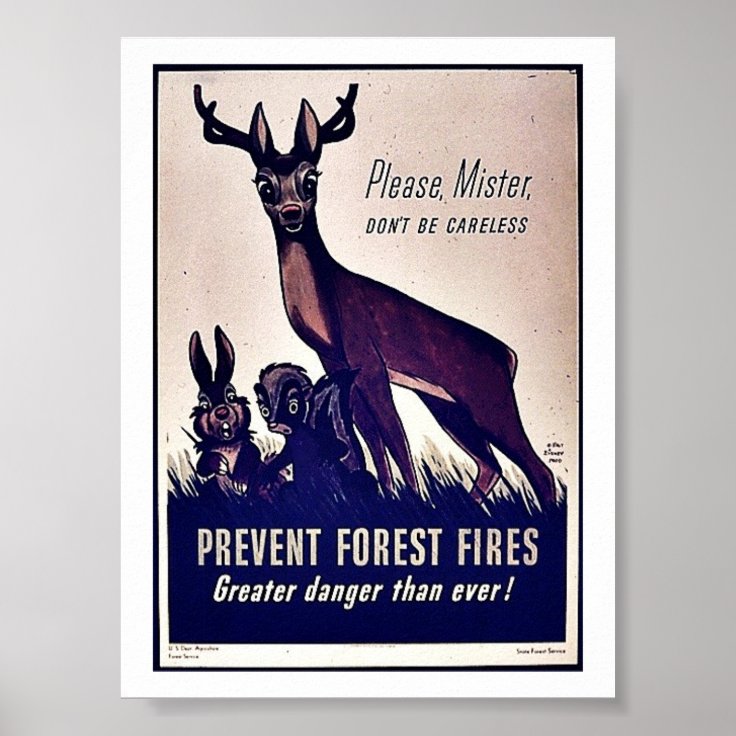 Prevent Forest Fires Poster | Zazzle
