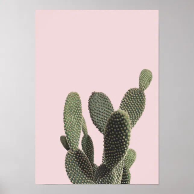 Prickly Pear Cactus and Pink Poster | Zazzle