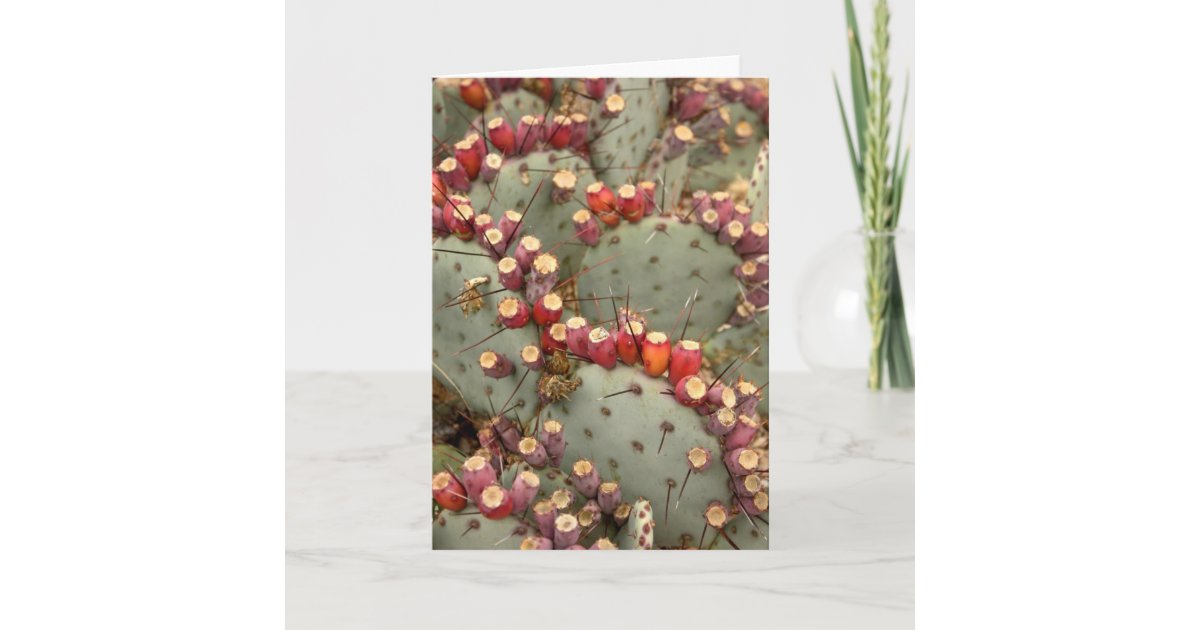 Prickly pear greeting card | Zazzle