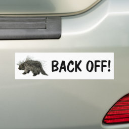 Prickly Porky Bumper Sticker | Zazzle