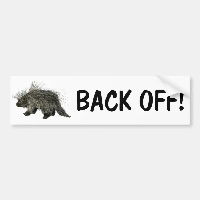 Prickly Porky Bumper Sticker | Zazzle