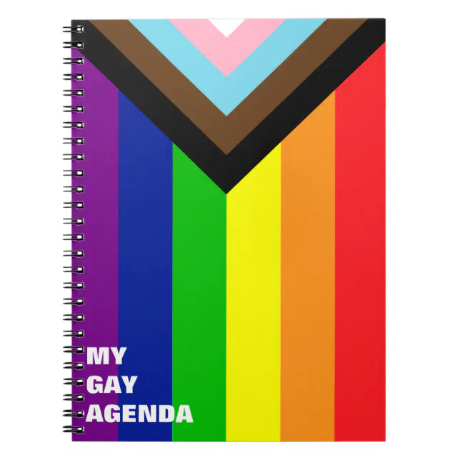 Pride Flag Reboot - trans and POC inclusive Notebook | Zazzle