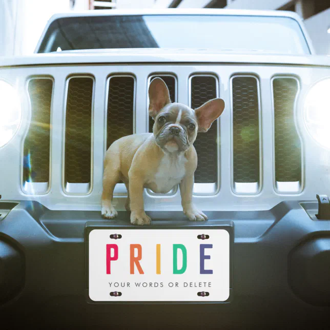 Pride | LGBTQ Gay Modern Rainbow License Plate | Zazzle