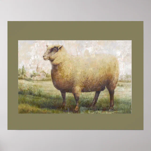 Primitive Sheep Poster | Zazzle