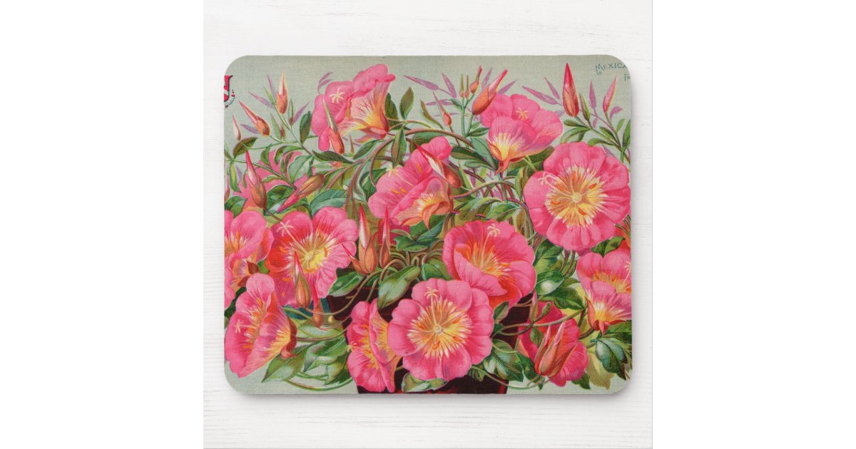 Primrose Seed Packets Mousepad | Zazzle
