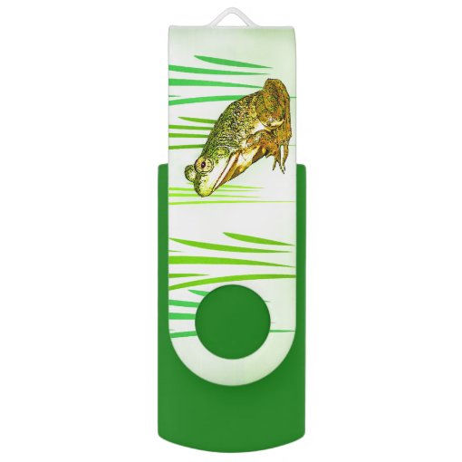 Princess Charming Frog Swivel USB 2.0 Flash Drive | Zazzle