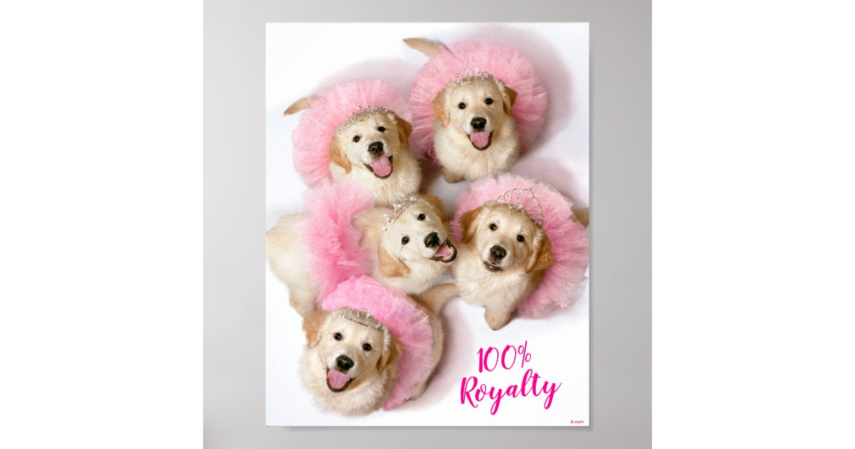 Princess Dogs in Tiaras Poster | Zazzle