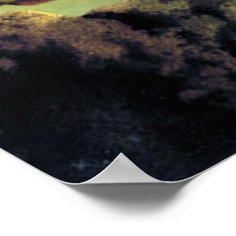 Princess with a Singing Tree by Maxfield Parrish Poster | Zazzle