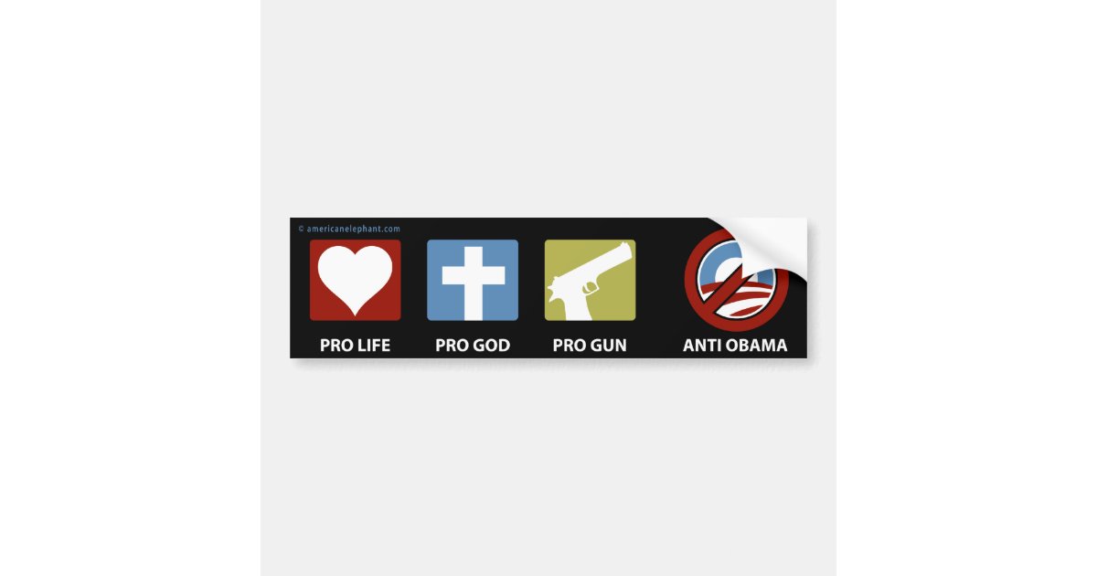 Princples Against Obama Bumper Sticker | Zazzle