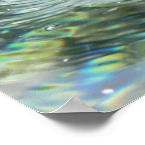 Print: Green Sea Turtle Poster | Zazzle