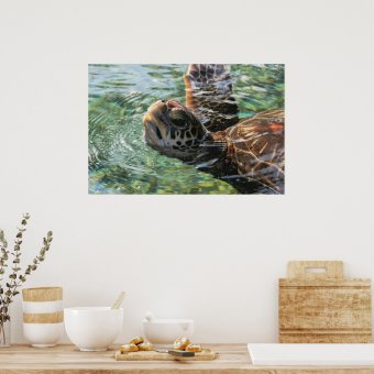 Print: Green Sea Turtle Poster | Zazzle