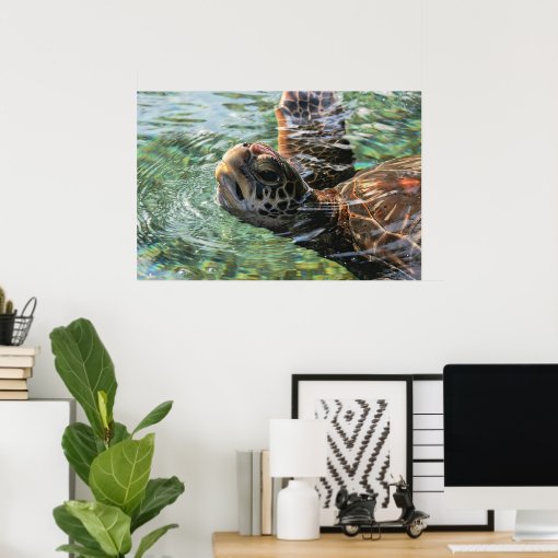 Print: Green Sea Turtle Poster | Zazzle