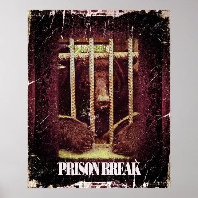 Prison break - Poster | Zazzle