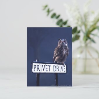Privet Drive Postcard | Zazzle