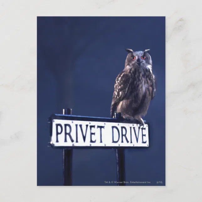 Privet Drive Postcard | Zazzle