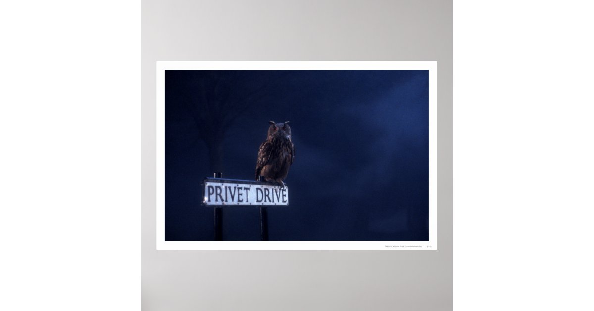 Privet Drive Poster | Zazzle