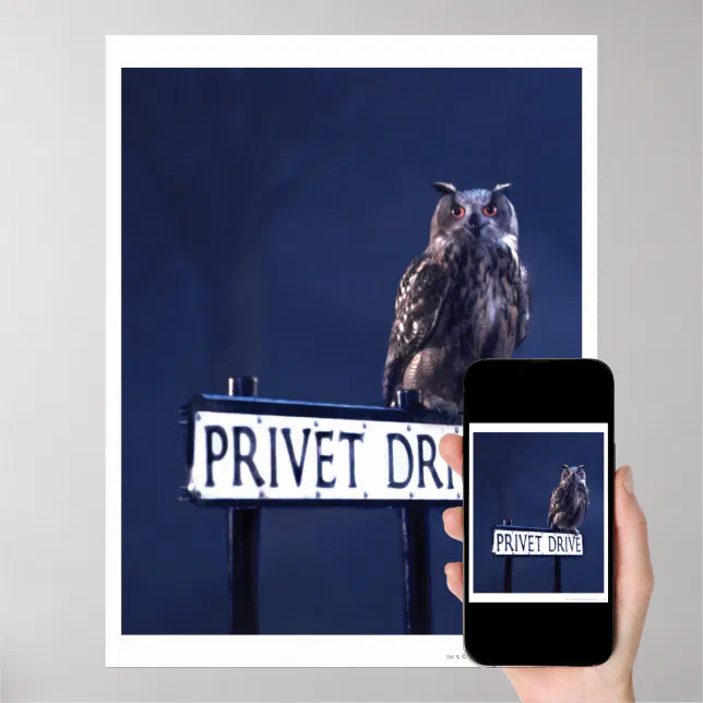 Privet Drive Poster | Zazzle