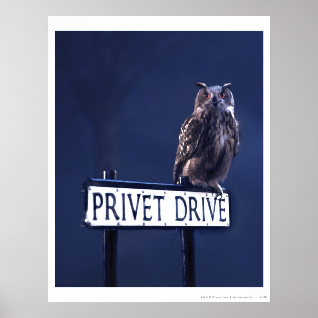 Privet Drive Poster | Zazzle