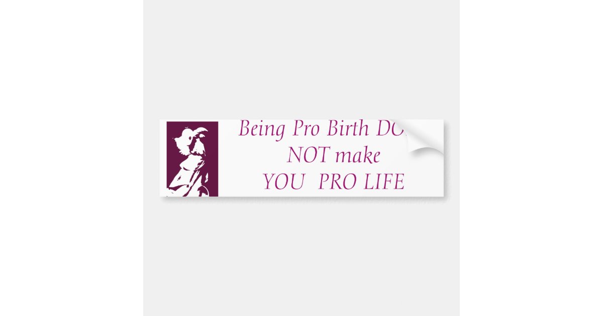 PRO Choice Bumper sticker | Zazzle