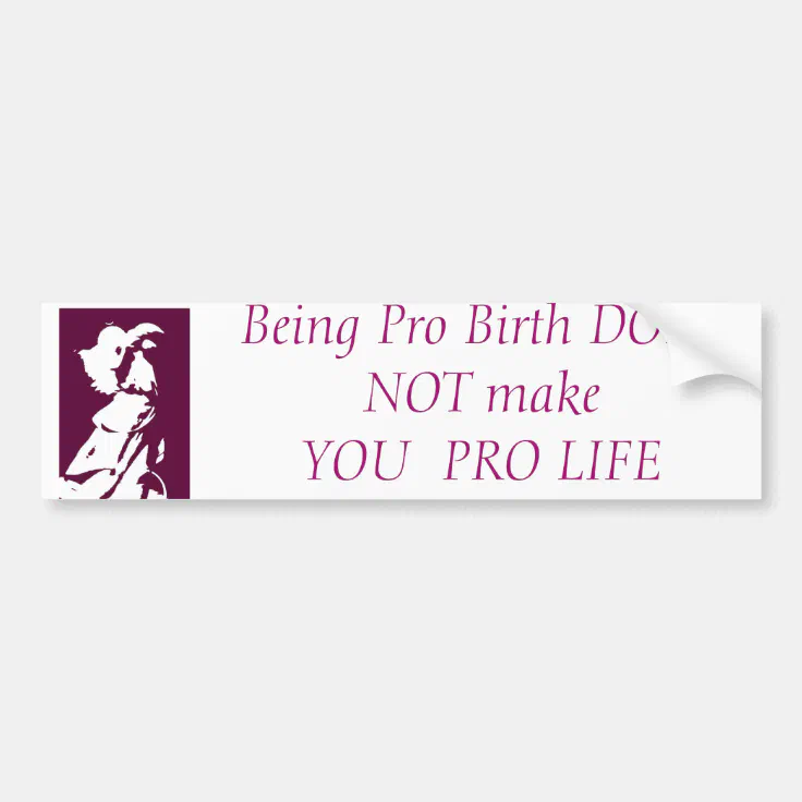 PRO Choice Bumper sticker | Zazzle