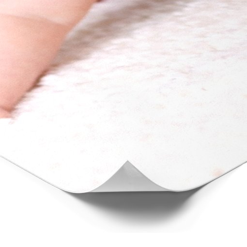 PRO-LIFE BABY GIRL INFANT ROSES POSTER | Zazzle