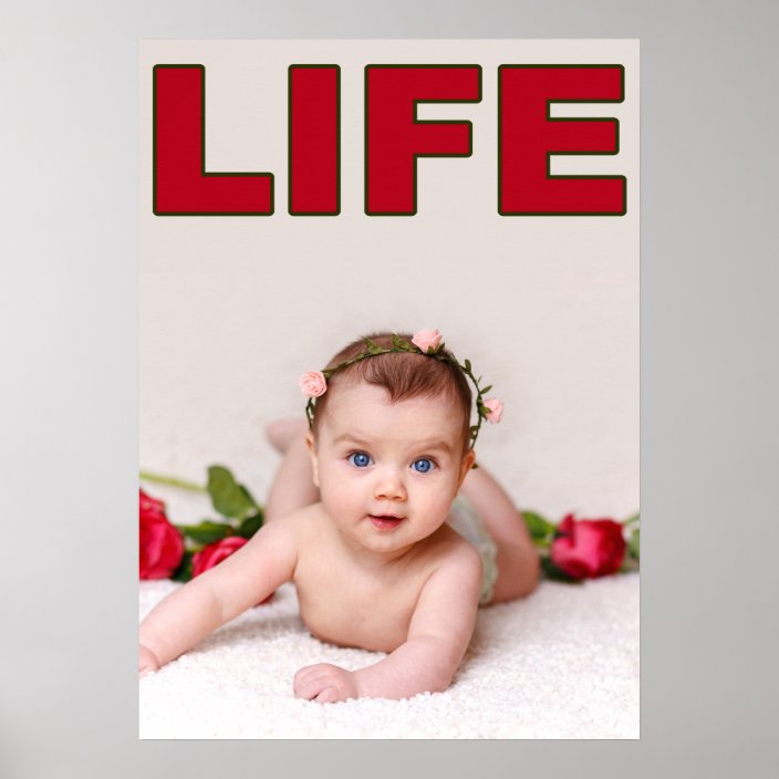 PRO-LIFE BABY GIRL INFANT ROSES POSTER | Zazzle.com