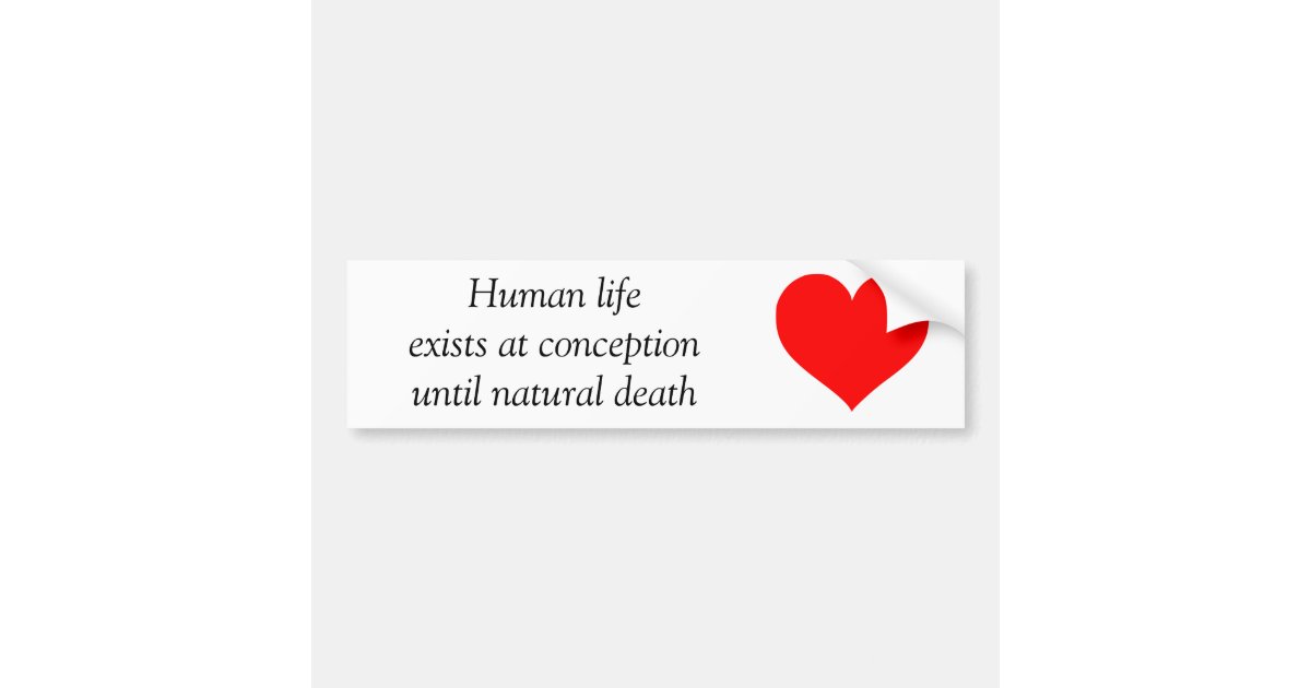 Pro-life Bumper Sticker | Zazzle