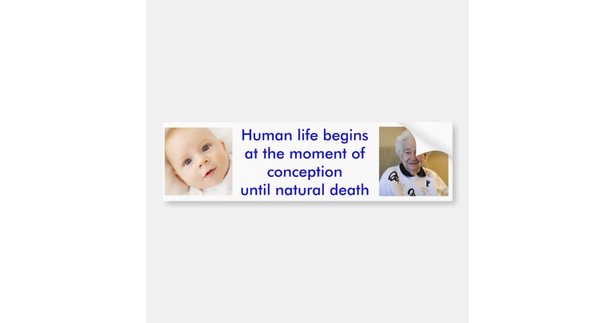 Pro-Life Bumper Sticker | Zazzle
