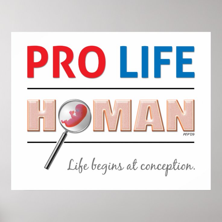 Pro Life Human Poster | Zazzle
