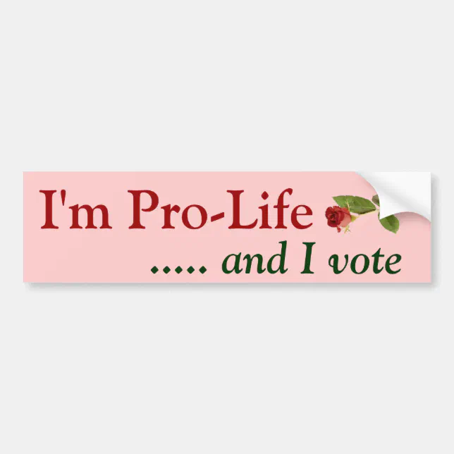 Pro Life Voter Bumper Sticker | Zazzle
