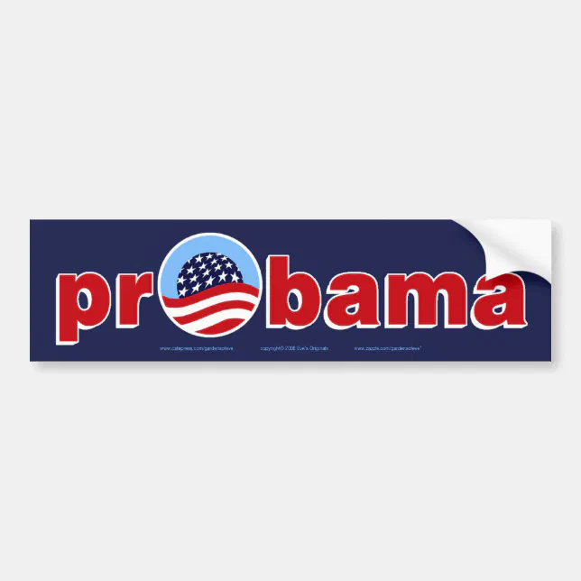 PRO-OBAMA BUMPER STICKER | Zazzle
