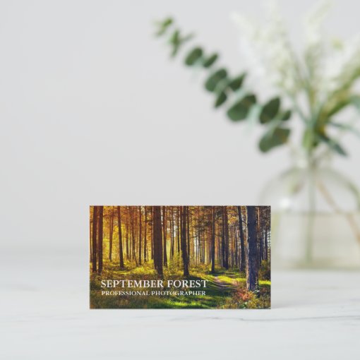 Pro Photography (Forest) Business Card | Zazzle