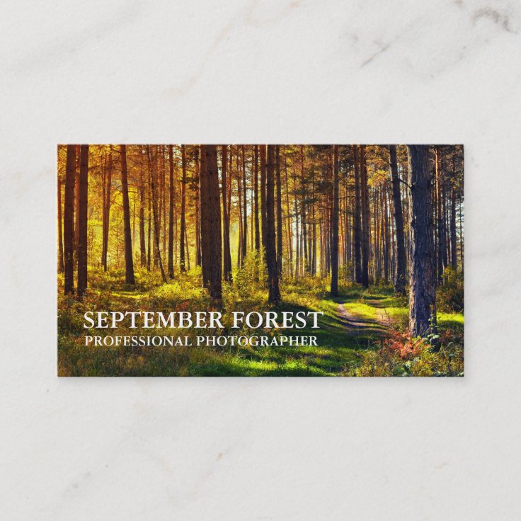 Pro Photography (Forest) Business Card | Zazzle