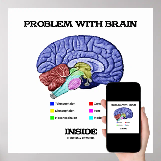 Problem With Brain Inside (Brain Anatomy) Poster | Zazzle