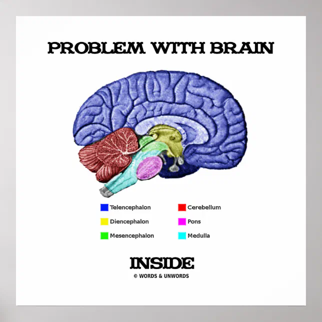 Problem With Brain Inside (Brain Anatomy) Poster | Zazzle