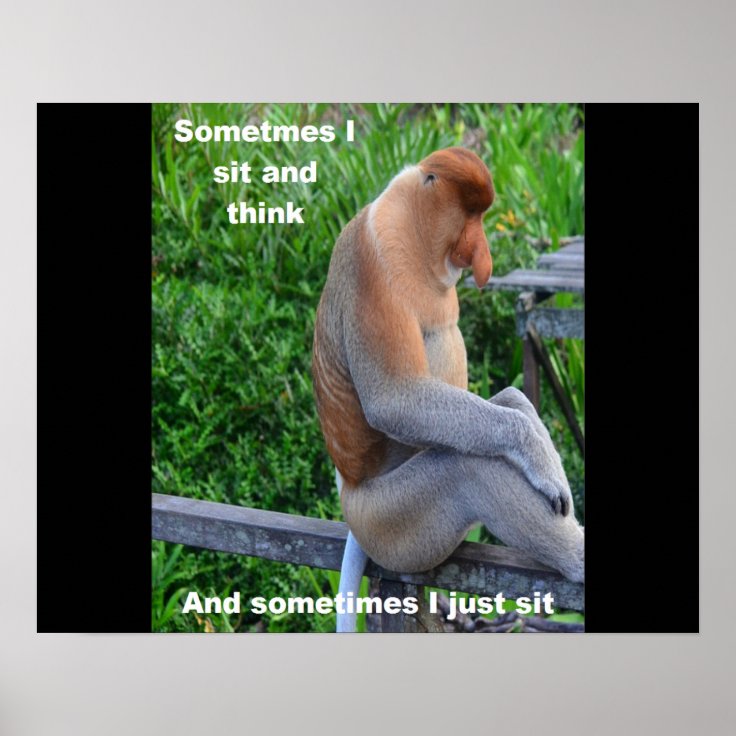 Proboscis Monkey - Sometimes I Sit and Think Poster | Zazzle