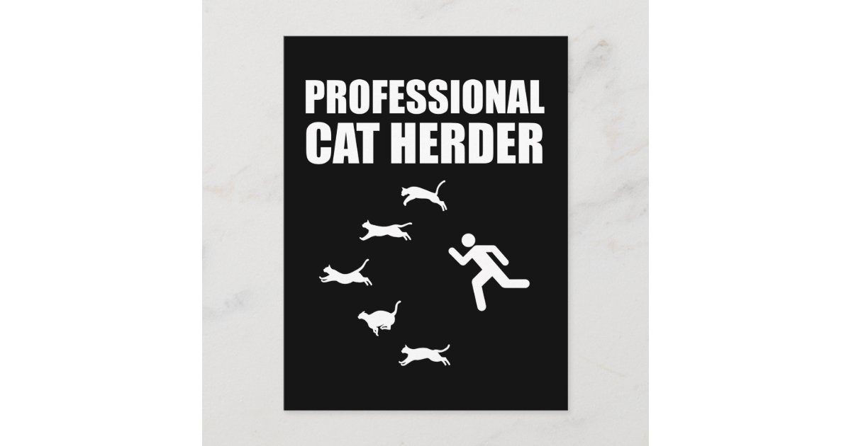 Professional Cat Herder Funny Herding Cats Postcard | Zazzle