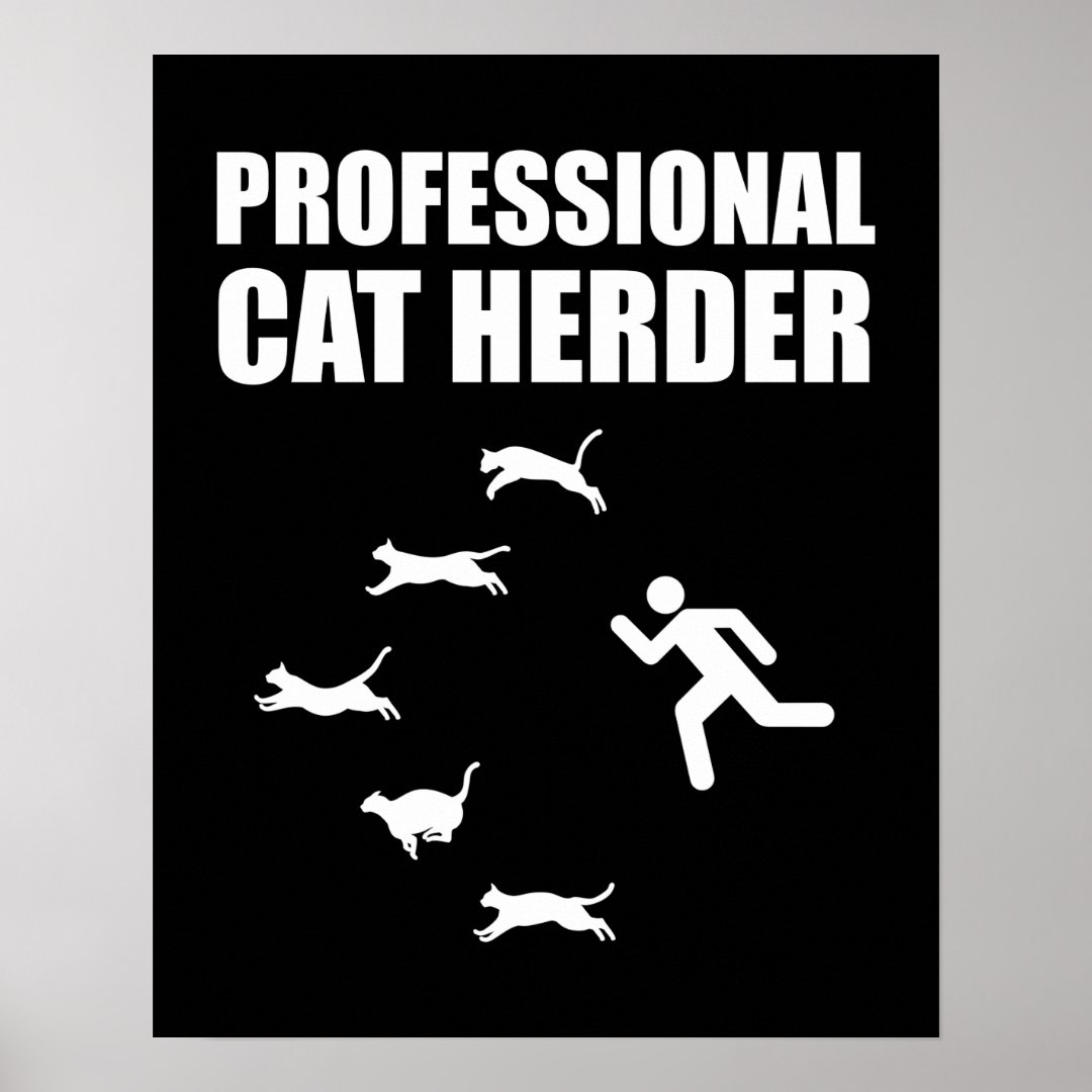 Professional Cat Herder Funny Herding Cats Poster | Zazzle