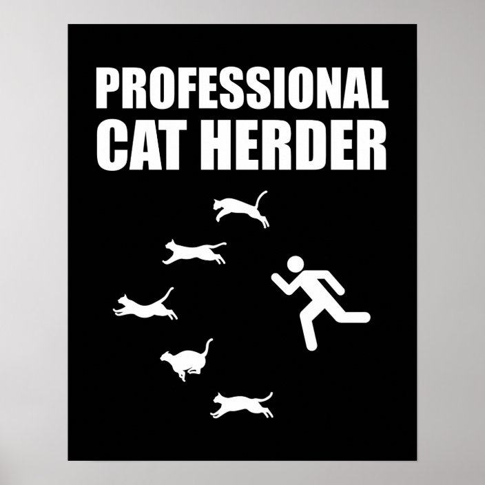 Professional Cat Herder Funny Herding Cats Poster | Zazzle.com