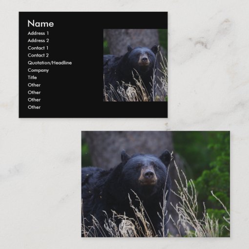 profile or business card, black bear business card | Zazzle