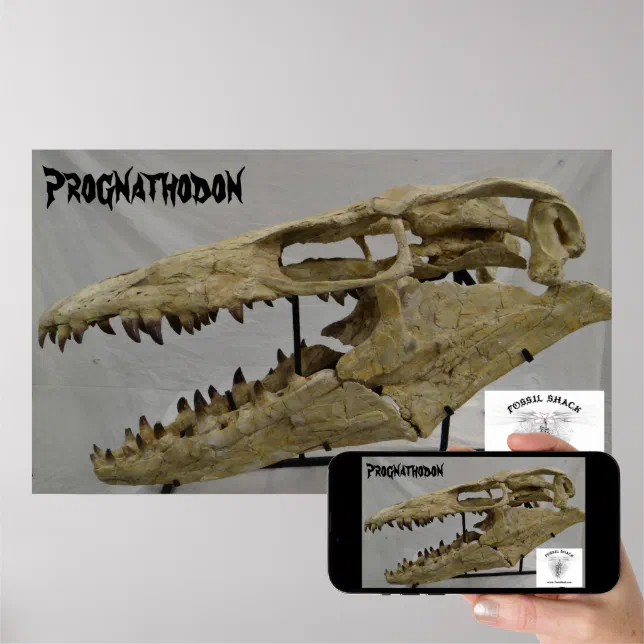 Prognathodon Mosasaur Poster | Zazzle