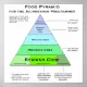 Programmer's Food Pyramid Poster | Zazzle