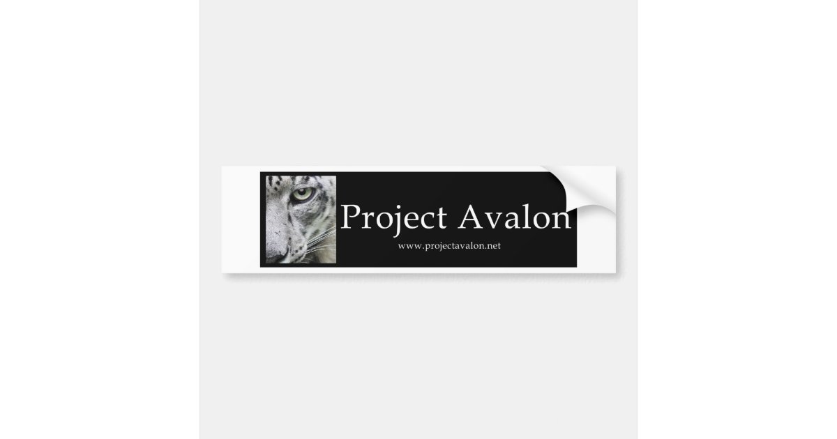 Project Avalon (Bumper Stickers) Bumper Sticker | Zazzle