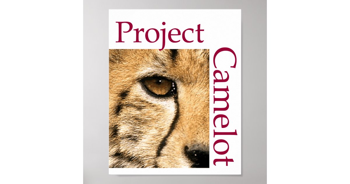PROJECT CAMELOT Poster | Zazzle