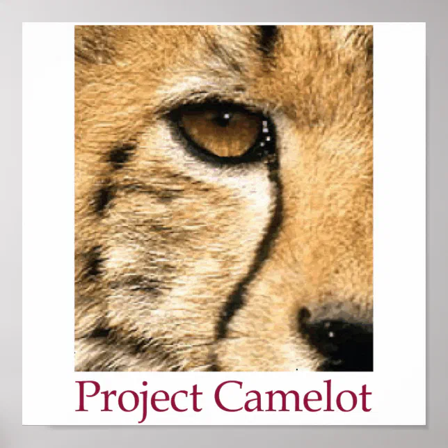 Project Camelot Poster | Zazzle